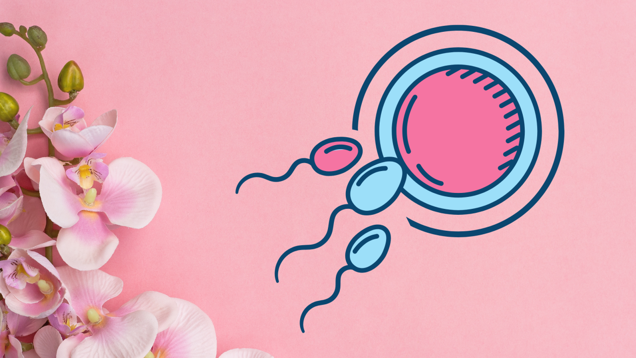 5 Tips For Boosting Fertility Naturally Uk